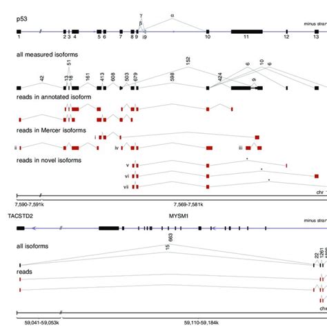 circleseq identifies previously identified species of circular rna