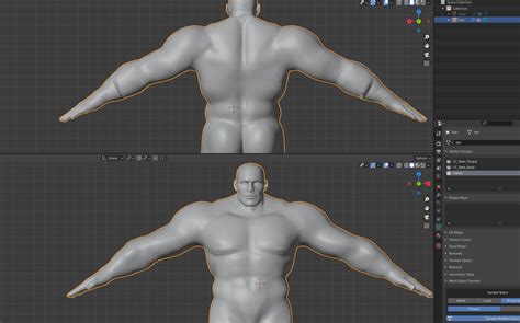 Mesh Data Transfer Add On