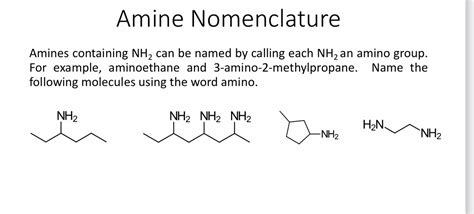 Answered Amine Nomenclature Amines Containing… Bartleby