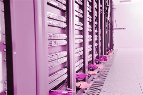 Server Monitoring In The Veterinary Industry Veterinary It Support