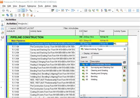 Mastering Primavera P6 Activity Codes A Step By Step Guide To Creating And Assigning 2024