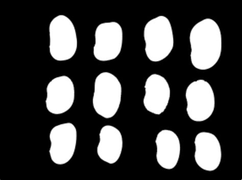 Binary Mask Of A Cfa Image Of Dor701 With Filtering Download