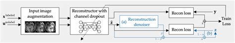 Ieee Tpami Paper On Sud Laboratory For Ex Vivo Modeling Of Neuroanatomy Lemon