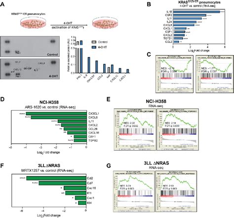 Oncogenic Kras Regulates Immune Gene Expression In Cell Lines A