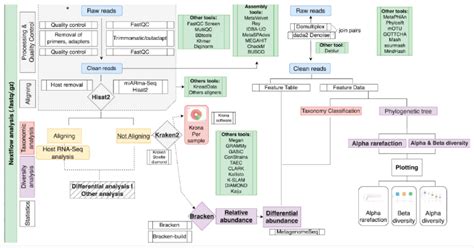 Metagenomics And Metatranscriptomics New Insights And Pipelines To