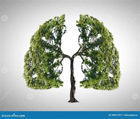 Air Pollution Stock Image Image Of Green Oxygen Tobacco