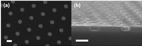 Figure 3 From Inp Gainp Nanowires For Tandem Junction Solar Cells