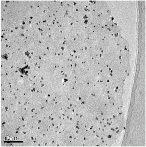 N Doped Porous Carbon Supported Metal Catalyst And Preparation Method