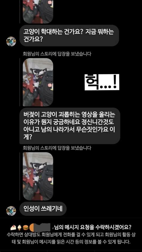 캣맘 묻은 빠니보틀 근황 Mp4 인스티즈 Instiz 이슈 카테고리