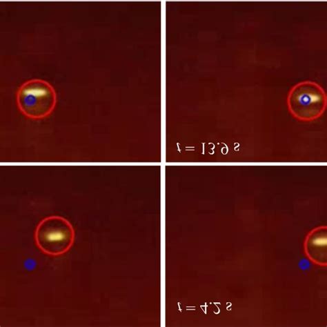 Magnetic Based Closed Loop Motion Control Of A Paramagnetic Download Scientific Diagram