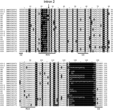 multiple alignment of 10 deduced amino acid sequences of the polyploid