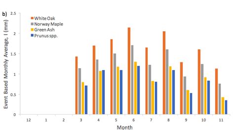 Model Application Urban Trees And Rainfall Interception