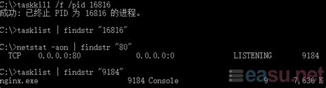 使用netstat查看并使用taskkill解除端口占用 端口进程查看 Easysupport 易速