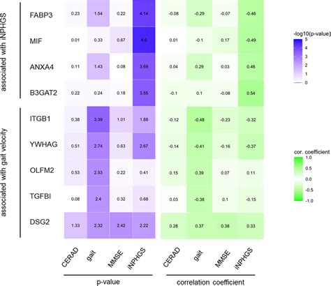 Heatmap Of The Top Nine Biomarker Candidates Summarizing Analyses