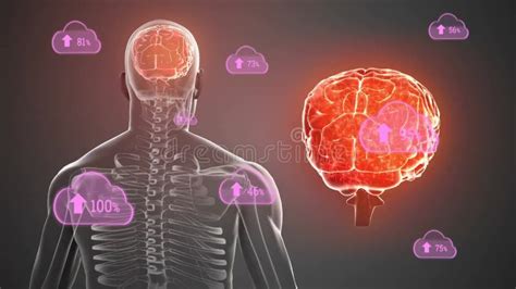 Animation Of Human Brain And Spine With Cloud Icons Showing Data Percentages Stock Footage