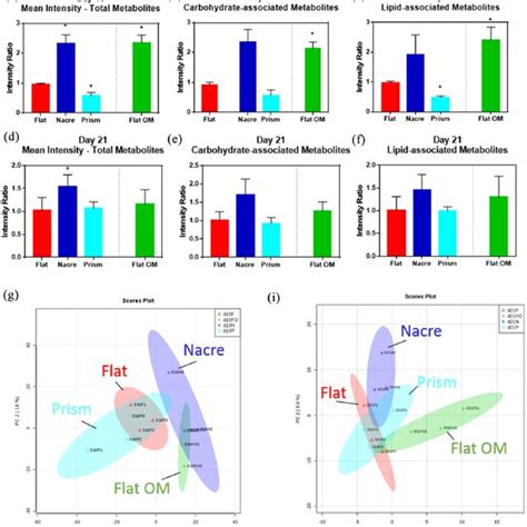 Metabolomic Analysis Of Ssc Culture On Nacre And Prism Shell Download Scientific Diagram