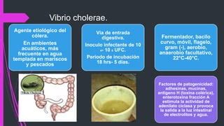 Gastroenteritis Infecciosa Pptx