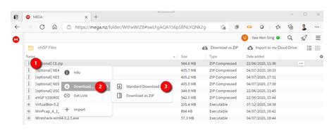 how to simulate netengine and cloudengine ce devices on ensp