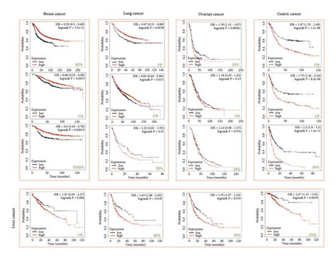 Association Between Tle3 Mrna Expression And Survival Of Cancer In
