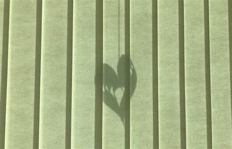 Inclusion Hampshire Bespoke Learning For Young People Vacancies Natalie Simms