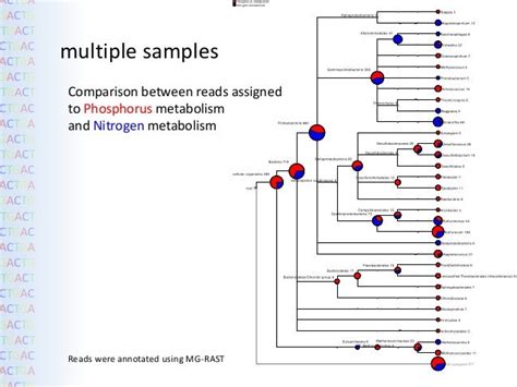 Introduction To Metagenomics