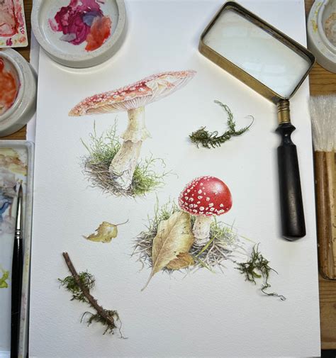 New Mushroom Tutorial And Other News