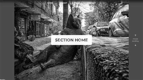 5 awesome css scroll effect examples