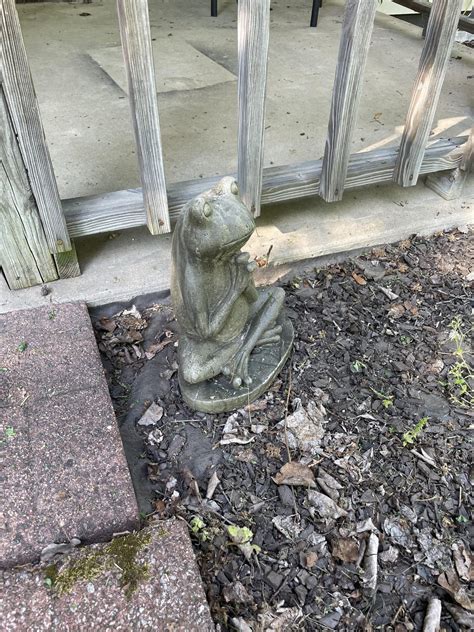 Find The Toad Easy Rfindthesniper