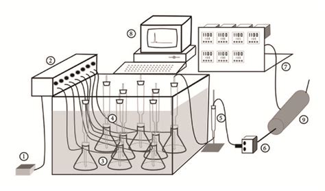 Gibberellic Acid Production By Different Fermentation Systems Using Citric Pulp As Substrate