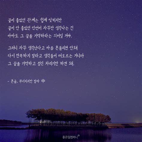 글귀 지친 마음을 위로해줄 감성책 글귀 모음