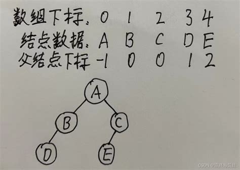 树 二叉树 森林之间的相互转换 与遍历 如何看二叉树森林包括几棵树 csdn博客