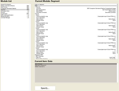 Spm Tutorial 6 Scripting — Andys Brain Book 1 0 Documentation