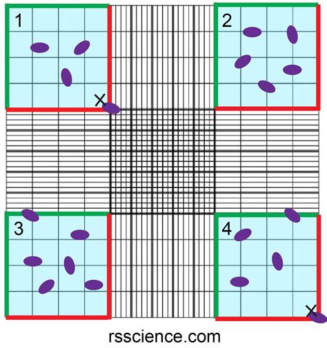 How To Use A Hemocytometer To Count Cells Rs Science