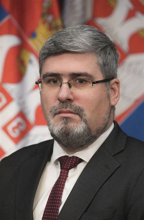 Nemanja Starović Imovina Zarada Biografija Krik