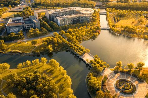 报考同济 同济大学本科招生网