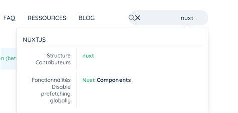 Search Field Display Is Ruptured · Issue 624 · Nuxtwebsite V2 · Github