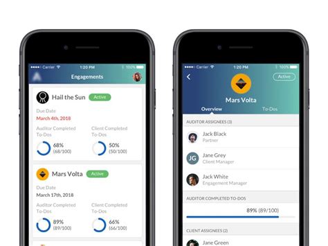 Audit App Audit App Engagement Manager