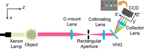 In Vivo Simultaneous Multispectral Fluorescence Imaging With Spectral