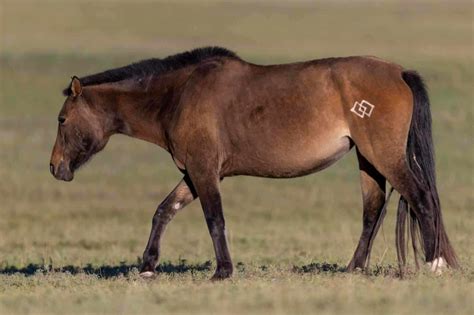 Б Ганпүрэв Б Ганпүрэв Added A New Photo