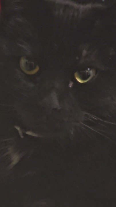 Junebug And I Share A Late Night Moment B4 I Turn Out The Lights Youtube