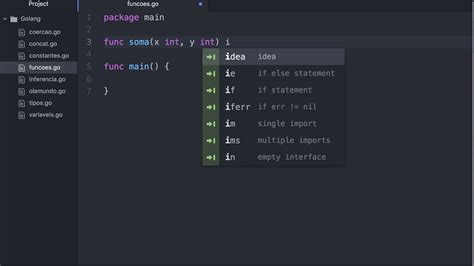 0010 12 Definindo Funções Na Linguagem Go Golang Aula Tutorial