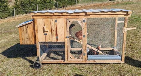 Prenosni Koko Njak Za Koko I