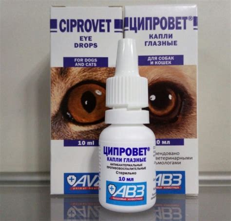 Глазные капли для кошек от воспаления и конъюнктивита