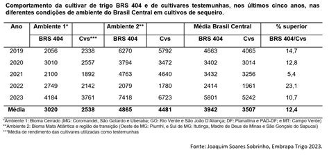 Cultivar De Trigo Tropical Da Embrapa Tem Rendimento 12 Superior Em