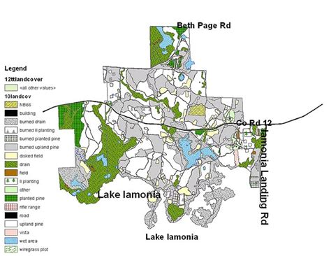 The Burning Question When To Burn Or Why Tall Timbers
