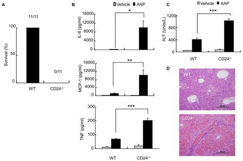 Cd24 And Siglec 10 Selectively Repress Tissue Damage Induced Immune Responses Pmc