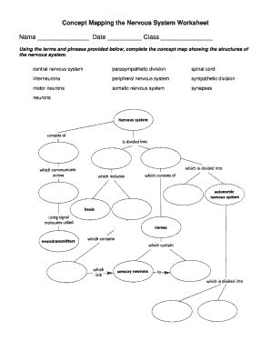 Body Systems Concept Map Answer Key Map