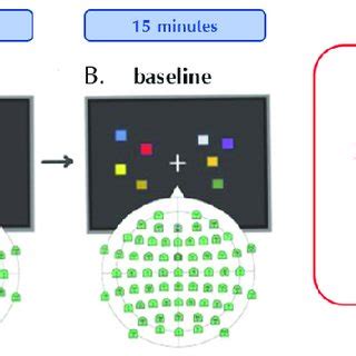 Schematic Representation Of The Experimental Session A Setting Up Of Download Scientific