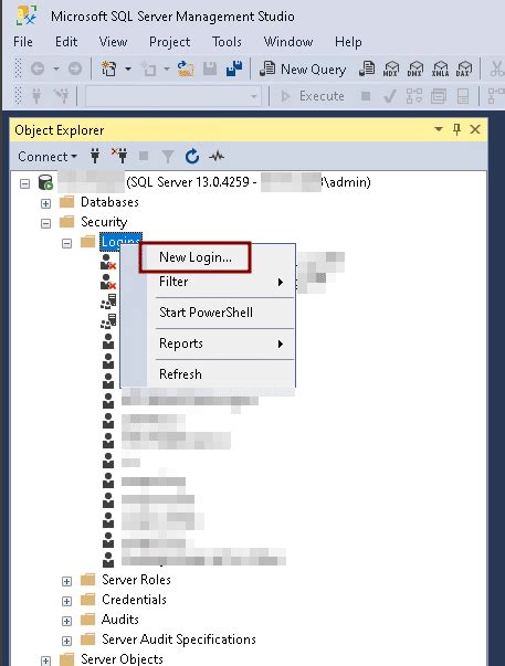 Migracja bazy Płatnik ZUS z MS ACCESS do Microsoft SQL bit windgate