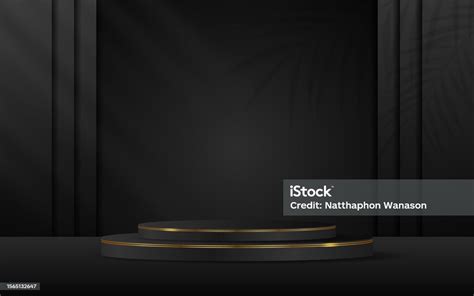 뒷면에 우아한 골드 라인과 나뭇잎 그림자가 있는 블랙 포디움 검은색에 대한 스톡 벡터 아트 및 기타 이미지 검은색 받침대 0명 Istock